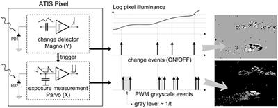 Frontiers | Complexity Analysis of Iterative Basis Transformations Applied to Event-Based Signals